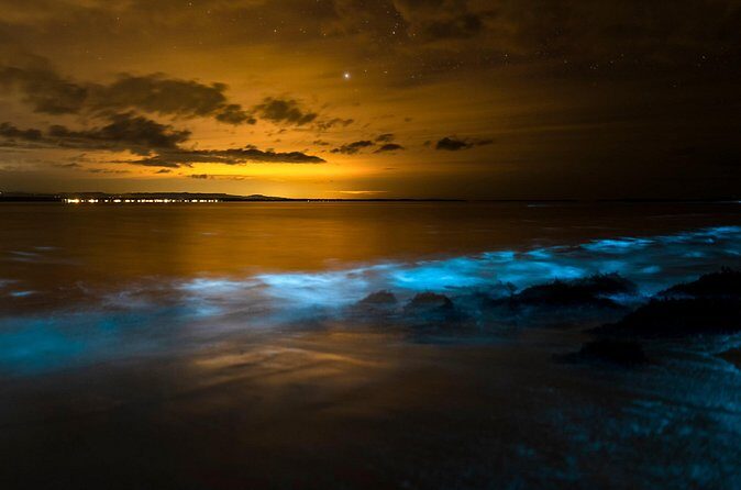 Magical Bioluminescent Night Dive - Frequently Asked Questions