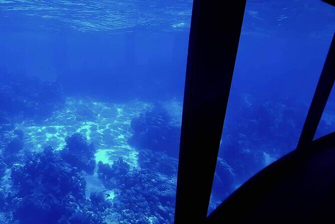 Magical Boat Tour with Underwater Cabin in Bora Bora! - Key Points