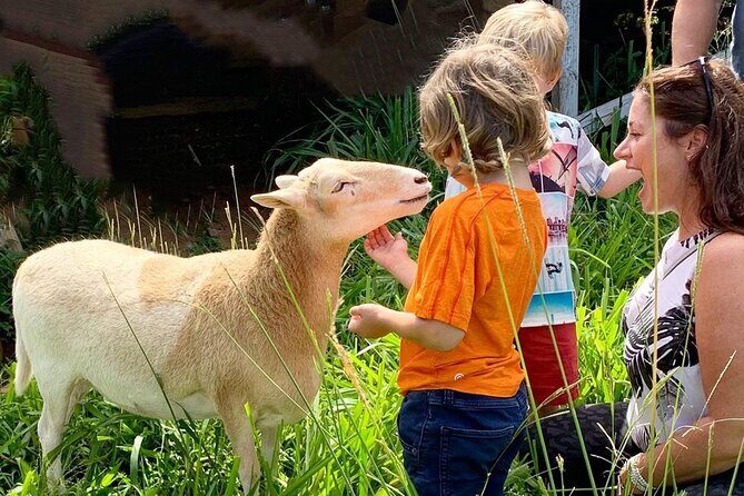 Magical Creatures Sanctuary Private Tour - A Close Look at the Magical Creatures Sanctuary Private Tour