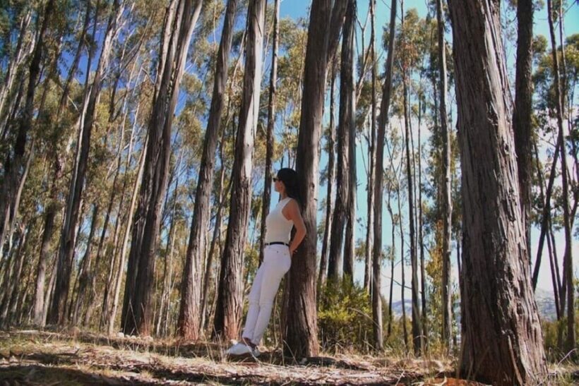 Magical Cusco City Tour - Key Points