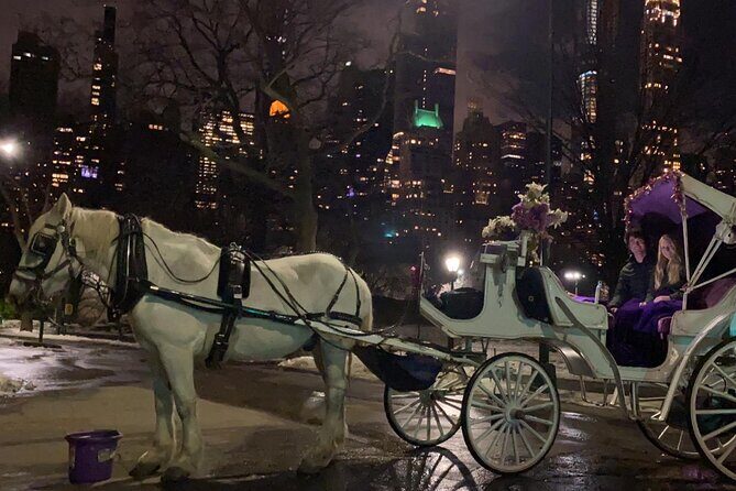Magical Evening Horse-Drawn Carriage through NYC (65 min) - What to Expect from the NYC Horse-Drawn Carriage Ride