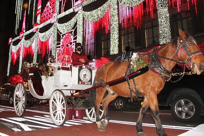 Magical Evening Horse-Drawn Carriage through NYC (65 min) - Value for the Price