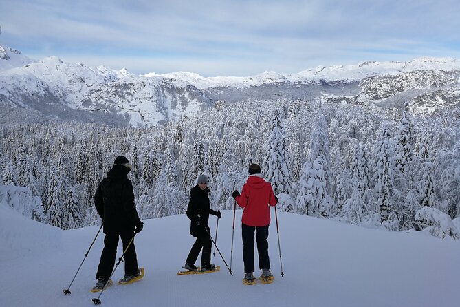 Magical Snowshoeing in Bohinj valley - Who Should Book This Tour?