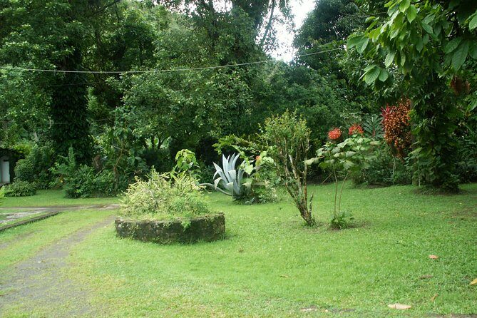 Magical Soufriere: A Tour of St Lucia - Final Thoughts