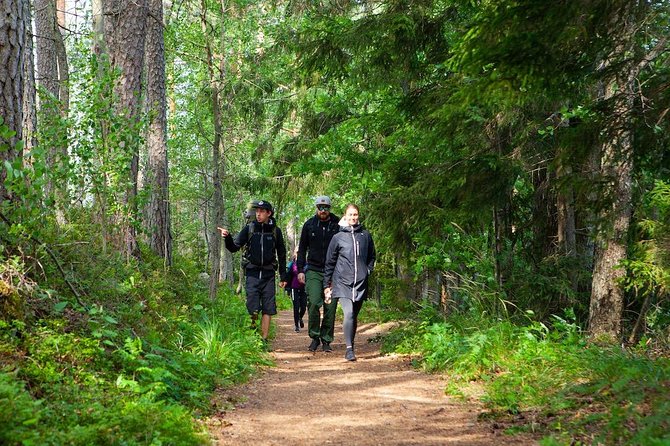 Magical Taiga Forest Hike With Lunch and Transportation - Highlights of the Taiga Forest Hike