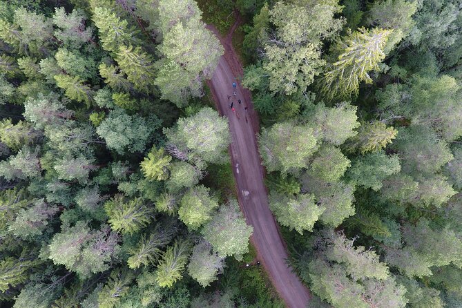 Magical Taiga Forest Hike With Lunch and Transportation - Enjoying the Finnish Lunch