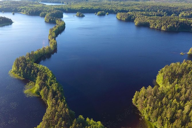 Magical Taiga Forest Hike With Lunch and Transportation - Feedback From Previous Travelers