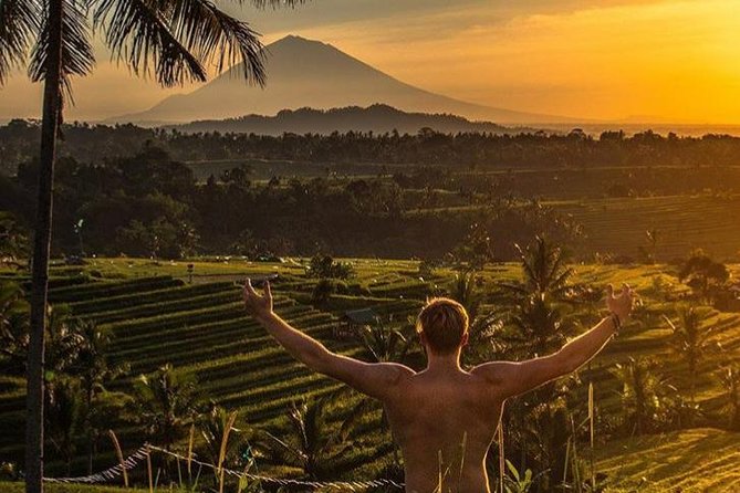 Magical Ubud Rice Terrace Tour (Private & All-Inclusive) - A Closer Look at the Itinerary