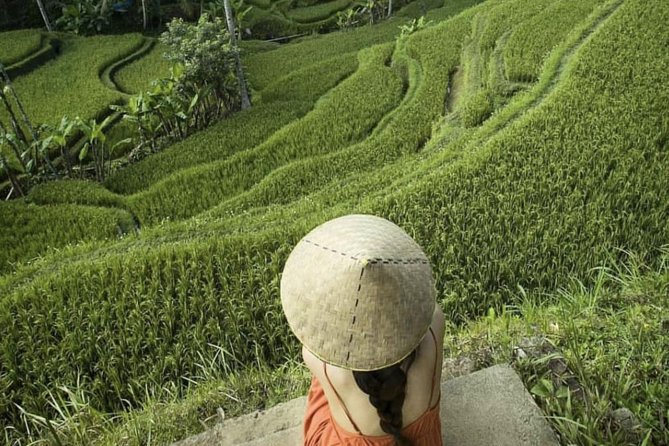 Magical Ubud Rice Terrace Tour (Private & All-Inclusive) - Final Thoughts: Who Is This Tour For?