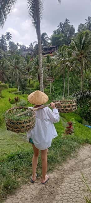 Magical Ubud: Temples, Rice Terraces & Waterfalls - Key Points
