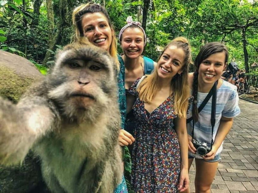 Magical Ubud: Temples, Rice Terraces & Waterfalls - An In-Depth Look at the Tour Experience