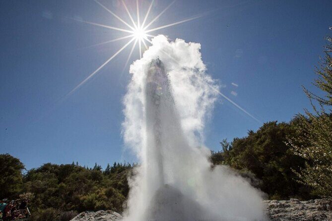 Magical Wanderer Experience Private Tour to Te Puia & Wai-O-Tapu - Key Points