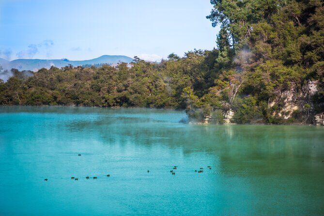 Magical Wanderer Experience Private Tour to Te Puia & Wai-O-Tapu - Who Should Consider This Tour?