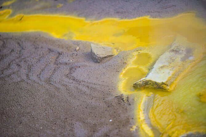 Magical Wanderer Experience Private Tour to Te Puia & Wai-O-Tapu - FAQ