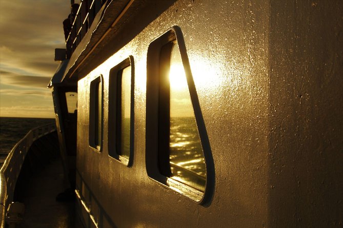 Magical Whales in the Midnight Sun | From Reykjavik - Flexible Cancellation Policy