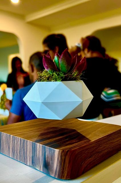 Magnetic Floating Terrarium Workshop - The Value of the Experience