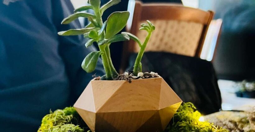 Magnetic Floating Terrarium Workshop - Who Will Enjoy This Workshop?