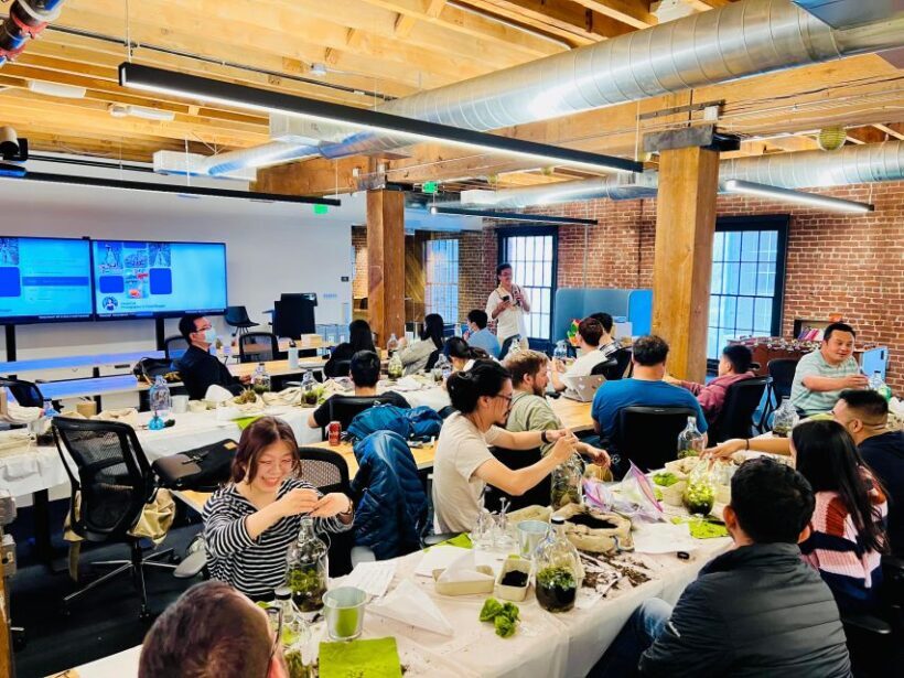 Magnetic Floating Terrarium Workshop - FAQ
