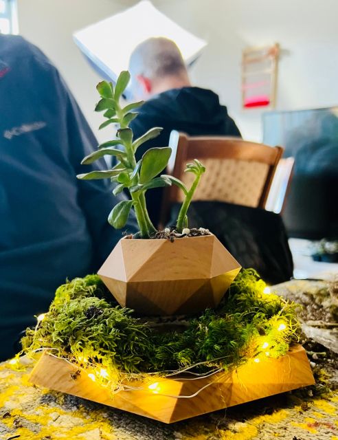 Magnetic Floating Terrarium Workshop - Key Points