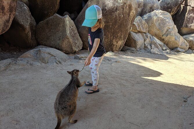 Magnetic Island Afternoon Tour - An Introduction to Magnetic Island’s Charm