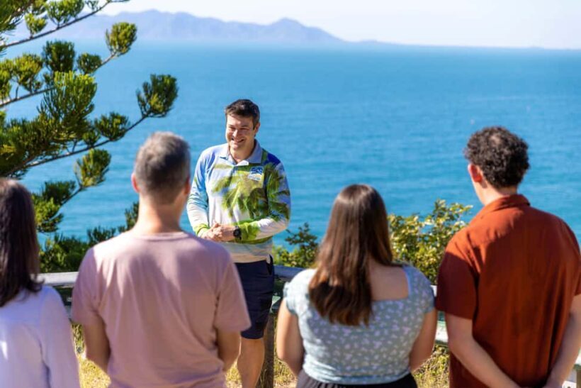 Magnetic Island: Guided Bus Tour with Morning Tea - Key Points