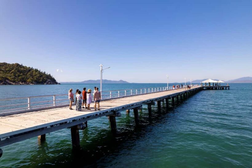Magnetic Island: Private Guided Tour including Koalas - Who Will Love This Tour?