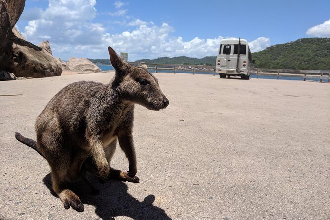 Magnetic Island Tour: Maggie Comprehensive - What to Expect from the Itinerary