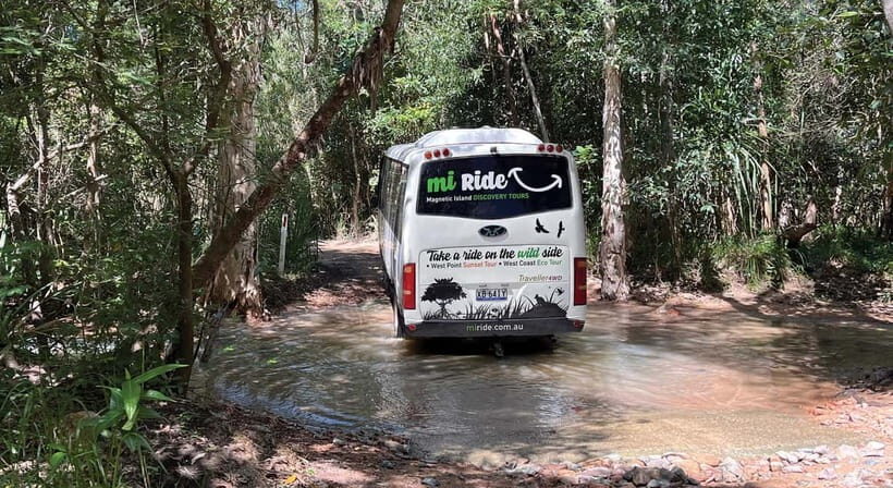 Magnetic Island: West Coast Eco Adventure Bus Tour - What to Expect from the West Coast Eco Adventure