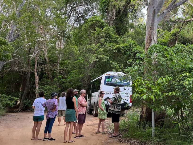 Magnetic Island: West Coast Eco Adventure Bus Tour - The Real Value for Different Travelers