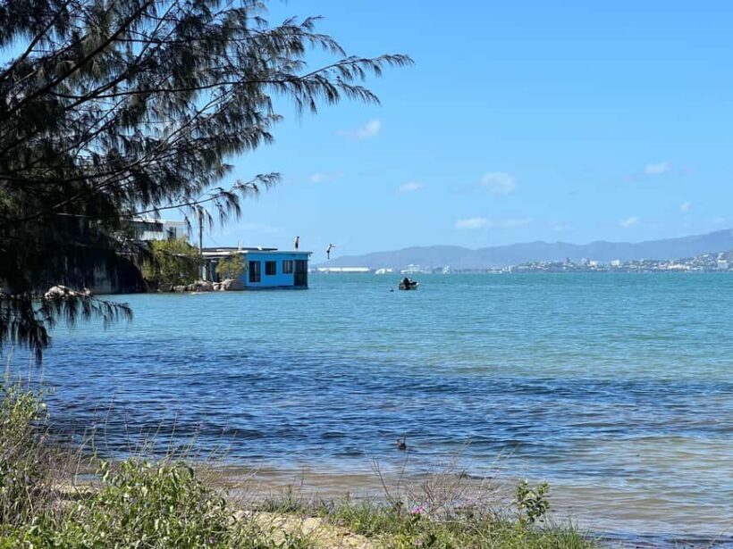 Magnetic Island: West Coast Eco Adventure Bus Tour - Final Thoughts: Who Should Consider This Tour?