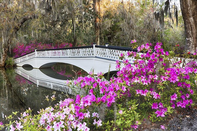 Magnolia Plantation Admission & Tour With Transportation From Charleston - Whats Included in Your Tour