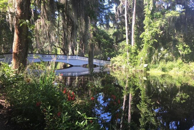 Magnolia Plantation Admission & Tour With Transportation From Charleston - Detailed Itinerary and Experience