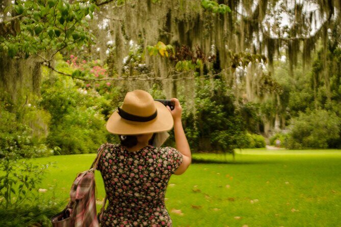 Magnolia Plantation Tour with transportation PLUS City Bus Tour - The Sum Up