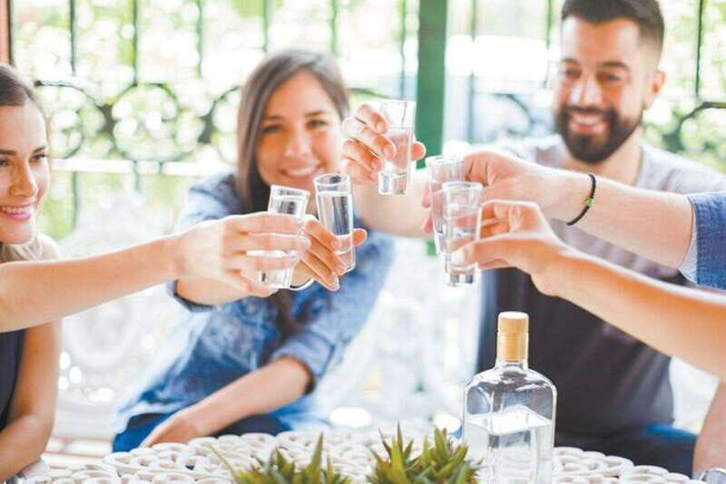 Mahahual: Authentic Mezcal & Tequila Tasting Experience - A Closer Look at the Itinerary