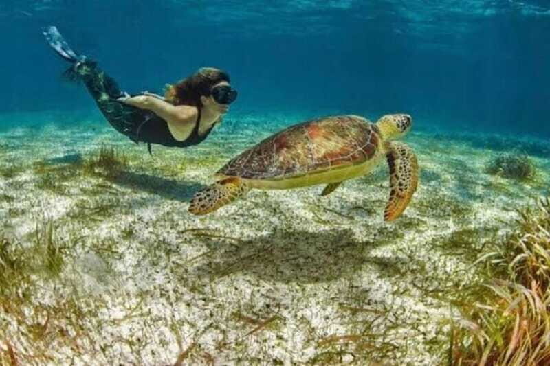 Mahahual: Costa Maya Snorkeling Adventure by Boat - The Beach Club Experience: Relaxation and Refreshments
