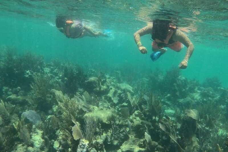 Mahahual: Costa Maya Snorkeling Adventure by Boat - Practical Details and Considerations