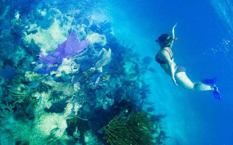 Mahahual: Snorkel Tour in Reef Lagoon - The Starting Point & Transportation