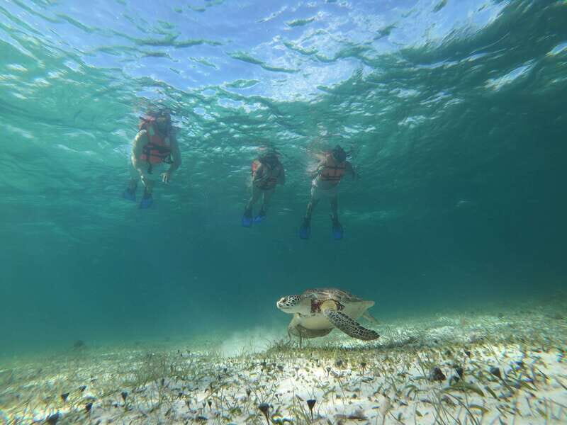 Mahahual: Snorkel Tour in Reef Lagoon - Duration, Group Size & Flexibility