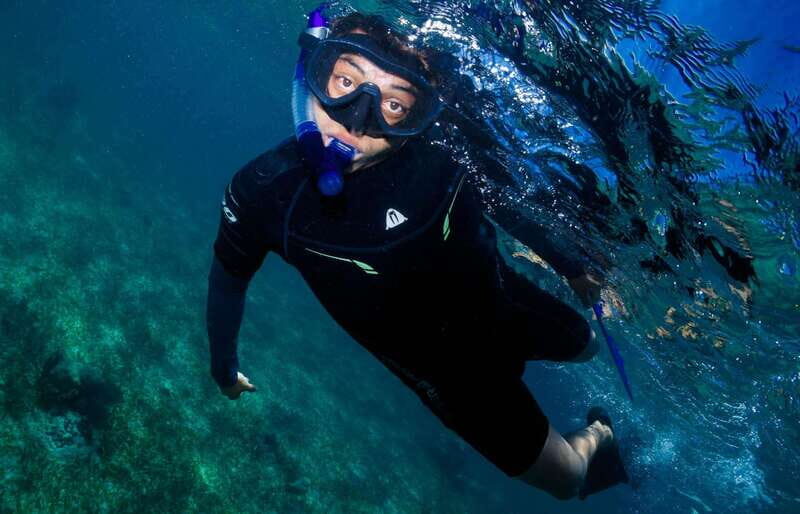 Mahahual: Snorkel Tour in Reef Lagoon - Final Thoughts
