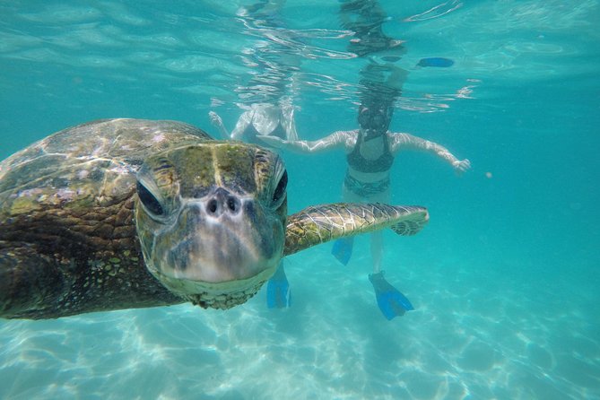 Mahina Hawaii Full Day Adventure - Inclusions in the Tour Package
