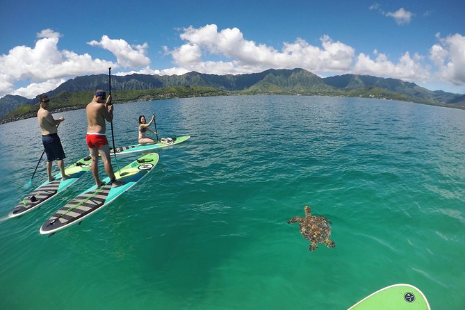 Mahina Hawaii Full Day Adventure - Customer Experiences and Reviews