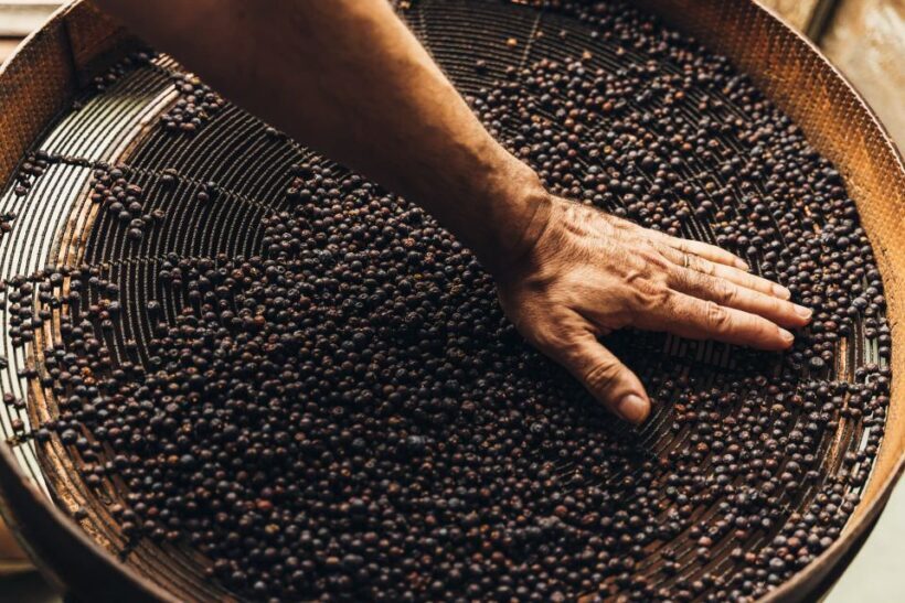 Mahón: Gin Distillery Tour with Tasting & Appetizers - Key Points