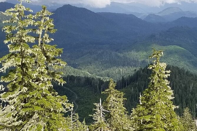 Mahoney Lake Off-Road UTV Tour - Frequently Asked Questions