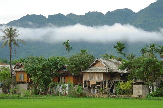 Mai Chau 1 Day Tour From Hanoi - The Experience in Detail: Why It Works