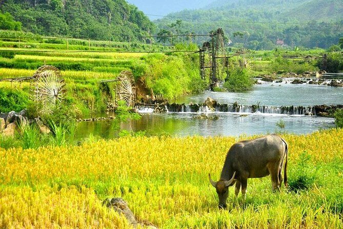 Mai Chau 1 Day Tour From Hanoi - FAQ