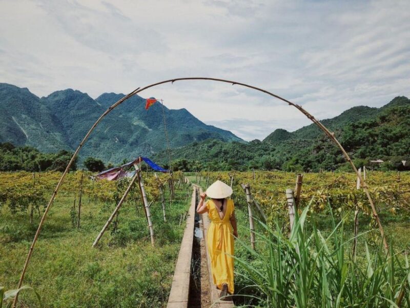 Mai Chau 2 Days 1 Night | From Hanoi - What the Tour Delivers