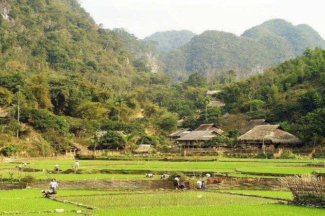 Mai Chau 2 Days Group Tour - The Practical Side: What You Need to Know