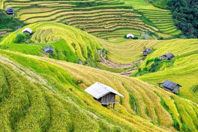 Mai Chau Full Day Group Tour from Mai Chau - Final Thoughts: Is This Tour Right for You?