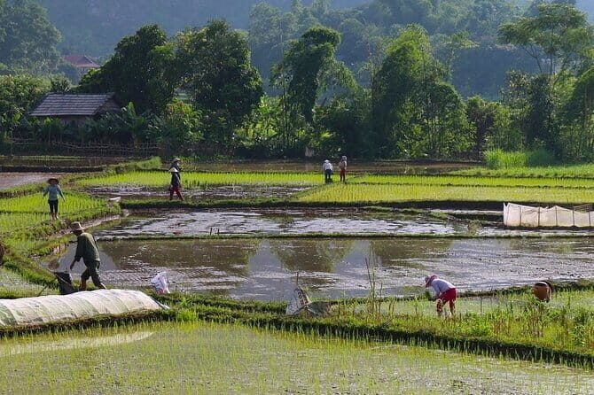 Mai Chau in 1 Day: Cycle Through Vietnams Peaceful Villages - Short Hike and Market Visit