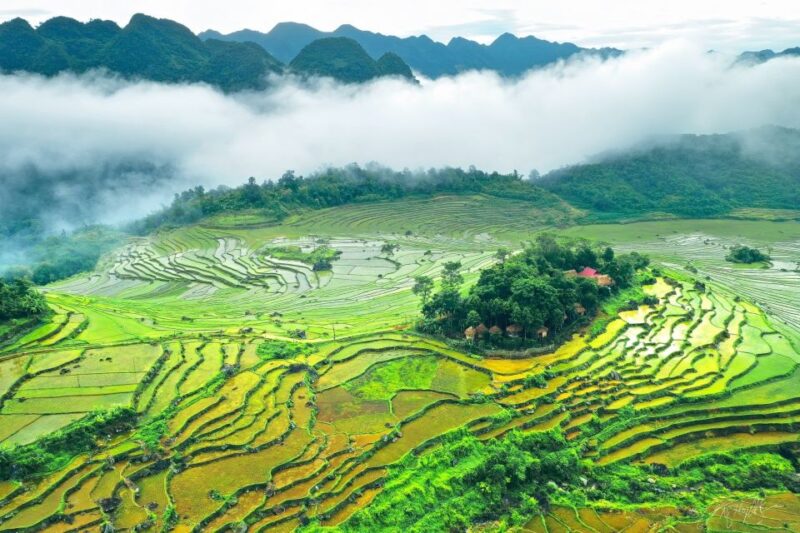 Mai Chau Pu Luong 2 days 1 night - New tour - Sale off 20% - Why This Tour Might Be Perfect for You